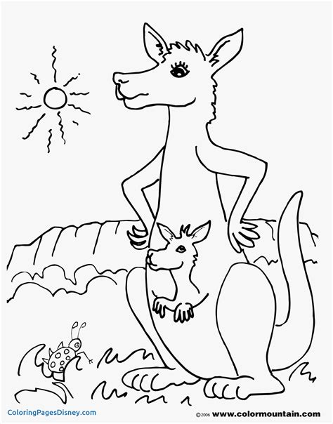 Tree Kangaroo Pages Coloring Pages