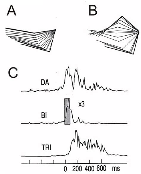 drnn simulation of the thrusting movement before stick diagram in a
