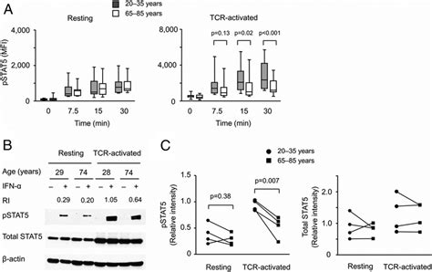 Stat5 Phosphorylation After Type I Ifn Stimulation Of Activated Naive