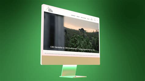 Implementation Of The Correct Coding Of The Site According To The