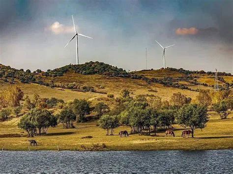 Өвөр Монгол 10 жилд 125 сая мү цөлжсөн нутаг бэлчээрийг засан сэргээжээ