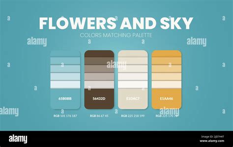 Color Palette In Soft And Pale Colour Theme Collections Color Scheme Or Colors Chart Template