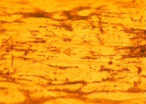 indentation testing ep laboratories inc