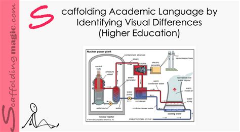 Scaffolding Academic Language By Identifying Visual Differences Higher Education Scaffolding