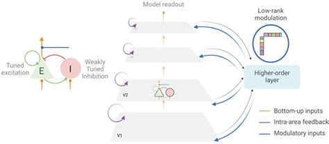 Flexible Context Driven Sensory Processing In Dynamical Vision Models NeurIPS