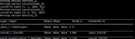 Convert Weights Error Anyone Successed On Tensorflow 140 · Issue 112 · Qqwweeekeras Yolo3