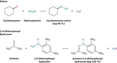 19 8 Nucleophilic Addition Of Amines Imine And Enamine Formation Organic Chemistry Openstax