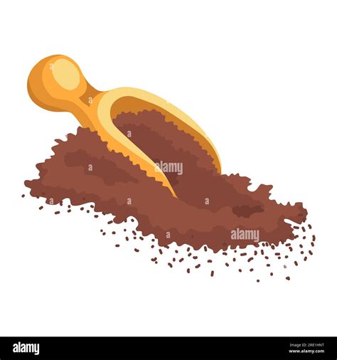 Ground Cocoa Wooden Spoon Of Cocoa Powder Vector Illustration Stock