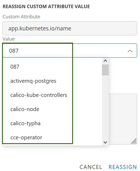 custom attributes in account details opsramp documentation