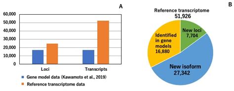 Hierarchical Clustering Of Expression Data In 45 Samples Hierarchical