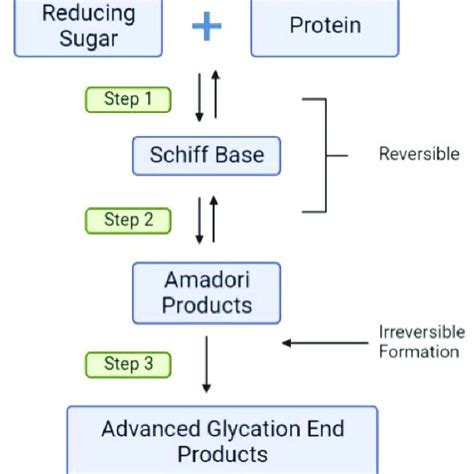 The Basic Chemistry Of Age Formation Reducing Sugars Such As