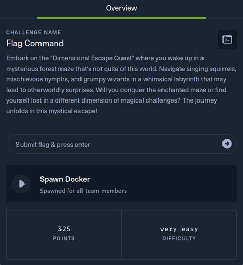 Flag Command Writeup Cyber Apocalypse 2024 — Forbytten Blogs