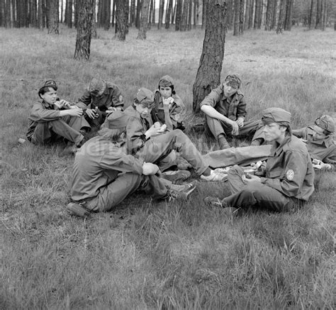 ddr fotoarchiv groß köris schüler im lager für wehrerziehung