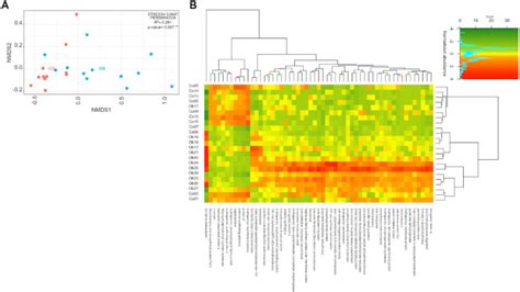 Duodenal Metatranscriptomics To Define Human And Microbial Functional Alterations Associated