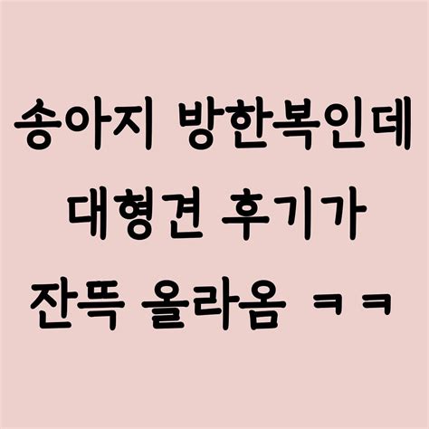 그노 작가 울림이 있었다면 ”잘 읽었습니다 한마디 남겨주세요 시인 나태주와 정신과 의사 이영문이 10년 동안