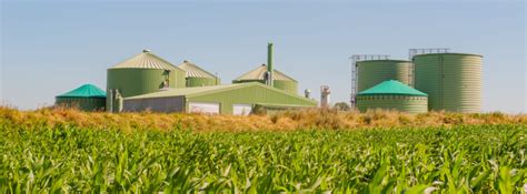 What Are The Different Types Of Carbon Sequestration Ifs