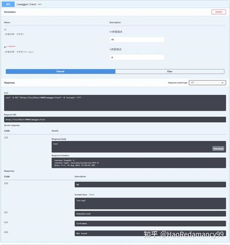 Swagger 总结 知乎