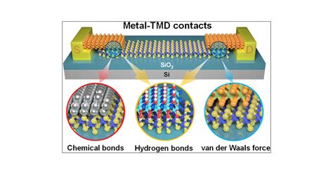 Unraveling The Role Of Interfacial Interactions In Electrical Contacts Of Atomically Thin
