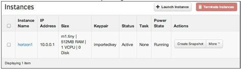 using openstack dashboard to launch and terminate instances