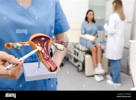 Gynecologist Pointing Uterine Leiomyomas On Anatomical Model Of Uterus While Female Patients