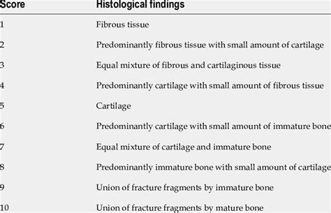 Fracture Healing Scores According To The Histological Findings Download Scientific Diagram