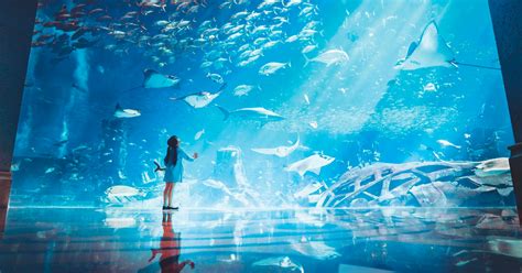 This Stunning Photo Book Takes You Inside The Wonders Of Dubai Maxim