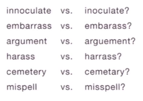 long term memory flashcards flashcards quizlet