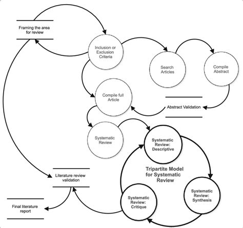 Tripartite Model