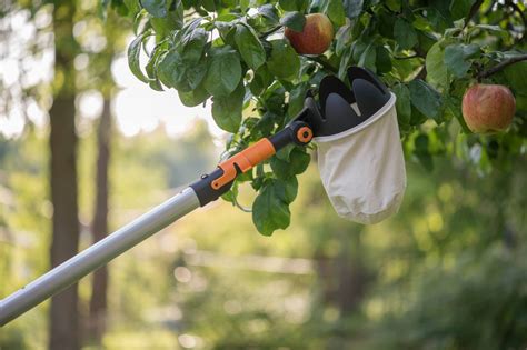 Fiskars Pick Your Apples While Theyre Ripe Firm And Bruise Free