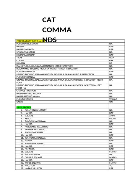 commands pdf