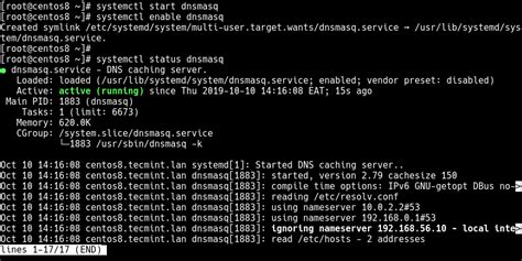 How To Setup A Dnsdhcp Server Using Dnsmasq On Centosrhel 87 Server Dns Setup