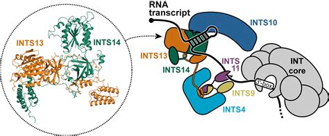 Research Jonas Lab Eth Zurich