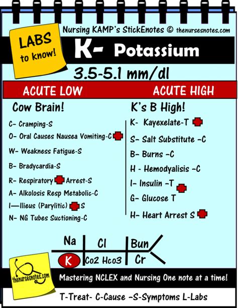 Potassium Lab Values Low At Frieda Krull Blog
