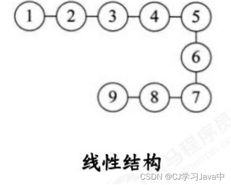 数据结构与算法详解：逻辑与物理结构，从概念到实现 csdn博客