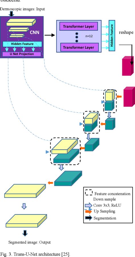 Figure 1 From Skin Lesion Segmentation Based On Modified U Net
