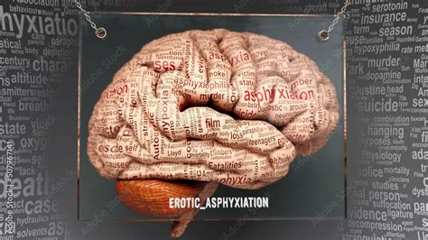 Erotic In Human Brain Dozens Of Important Terms Describing Erotic Properties And Features