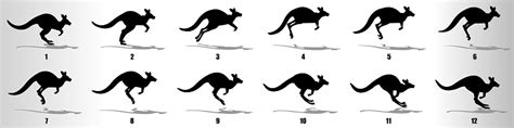 Kangaroo Run Cycle Animation Frames Silhouette Loop Animation Sequence