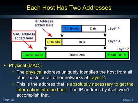 The Network Layer Of The Osi Model Its Functionality And Protocols Ppt