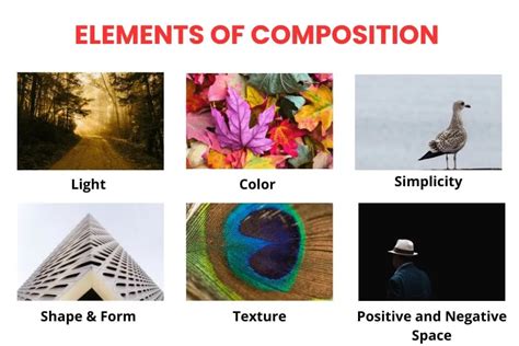 What Is Composition In Photography? Ultimate Guide (2024)