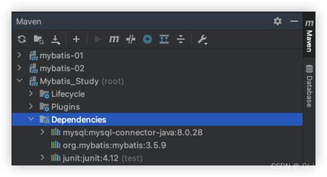 Mybatis入门与实践全总结mybatis入门实验报告 Csdn博客