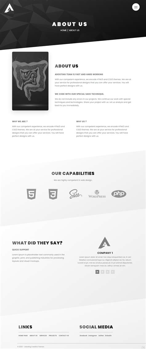 Adosting Creative Html5 And Css3 Responsive Theme Website Template
