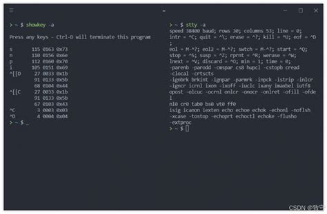 命令行界面 Cli、终端 Terminal、shell、tty，傻傻分不清楚？命令行和终端的区别 Csdn博客