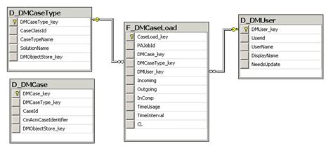 Ibm Case Analyzer Rdbms Schema Details For Writing Custom Queries