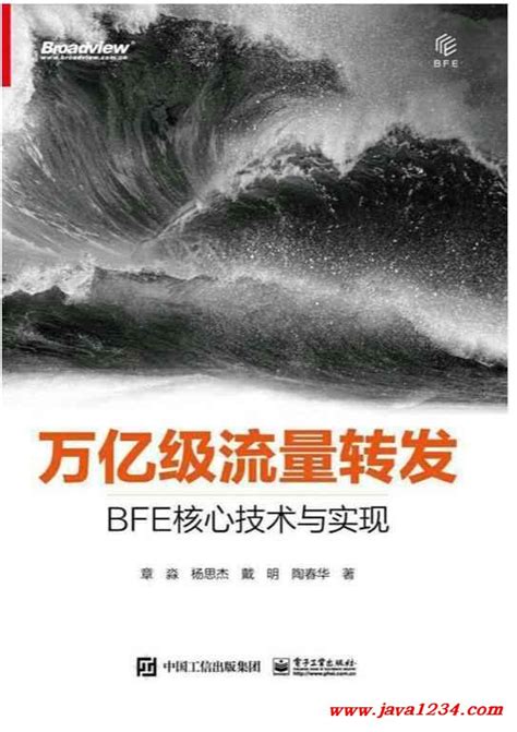 万亿级流量转发：bfe核心技术与实现 Pdf 下载java知识分享网 免费java资源下载