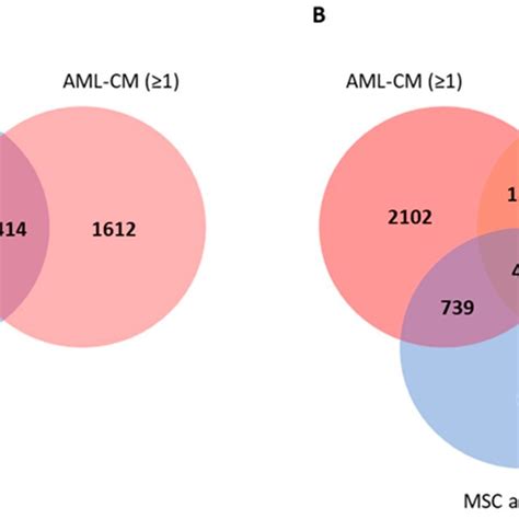 Venn Diagrams Of Proteins Quantified In Msc And Aml Conditioned Media
