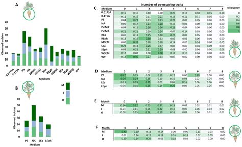 Table 1 From Culture Dependent And Metabarcoding Characterization Of The Sugar Beet Beta