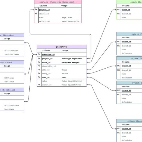 Phenotypic Data Model The Entity Relationship Diagram Describes The Download Scientific