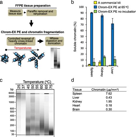 A Tissue Level Cross Link Reversal Allows Efficient Extraction Of Download Scientific Diagram