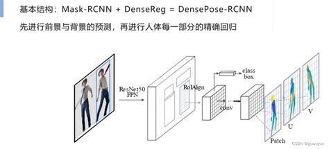 Ai实战营：人体姿态估计与mmpose Ai人体姿态 算法库 Csdn博客