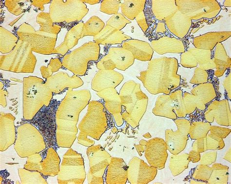 Microstructural Analysis Mate At Cal Poly